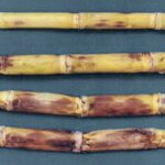 Red rot – Pestoscope